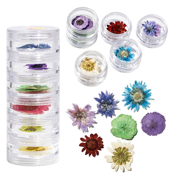 NDF-23 6 jars set 12 pieces dried flowers